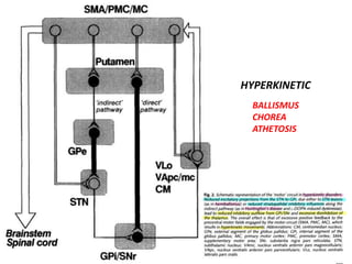 Basal ganglia | PPTX