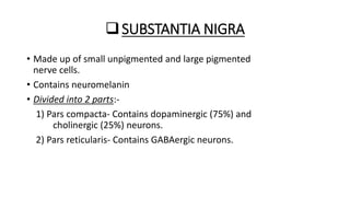 basal ganglia-2.pptx