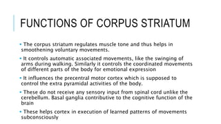 Basal ganglia | PPT