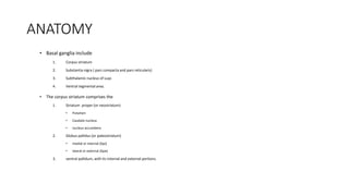 BASAL GANGLIA.pptx