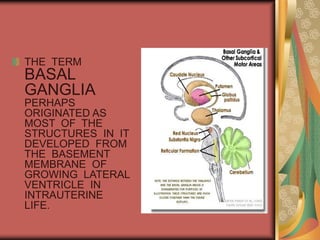 BASAL GANGLIA.ppt