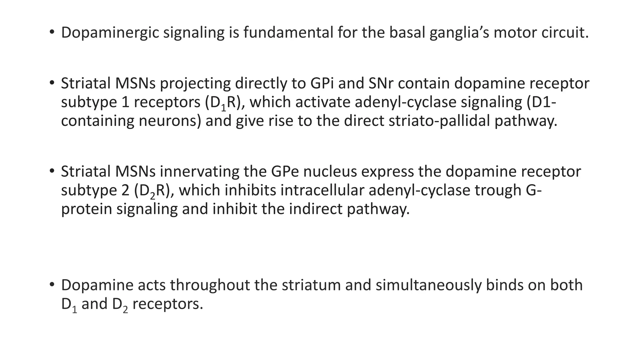 Basal ganglia.pptx