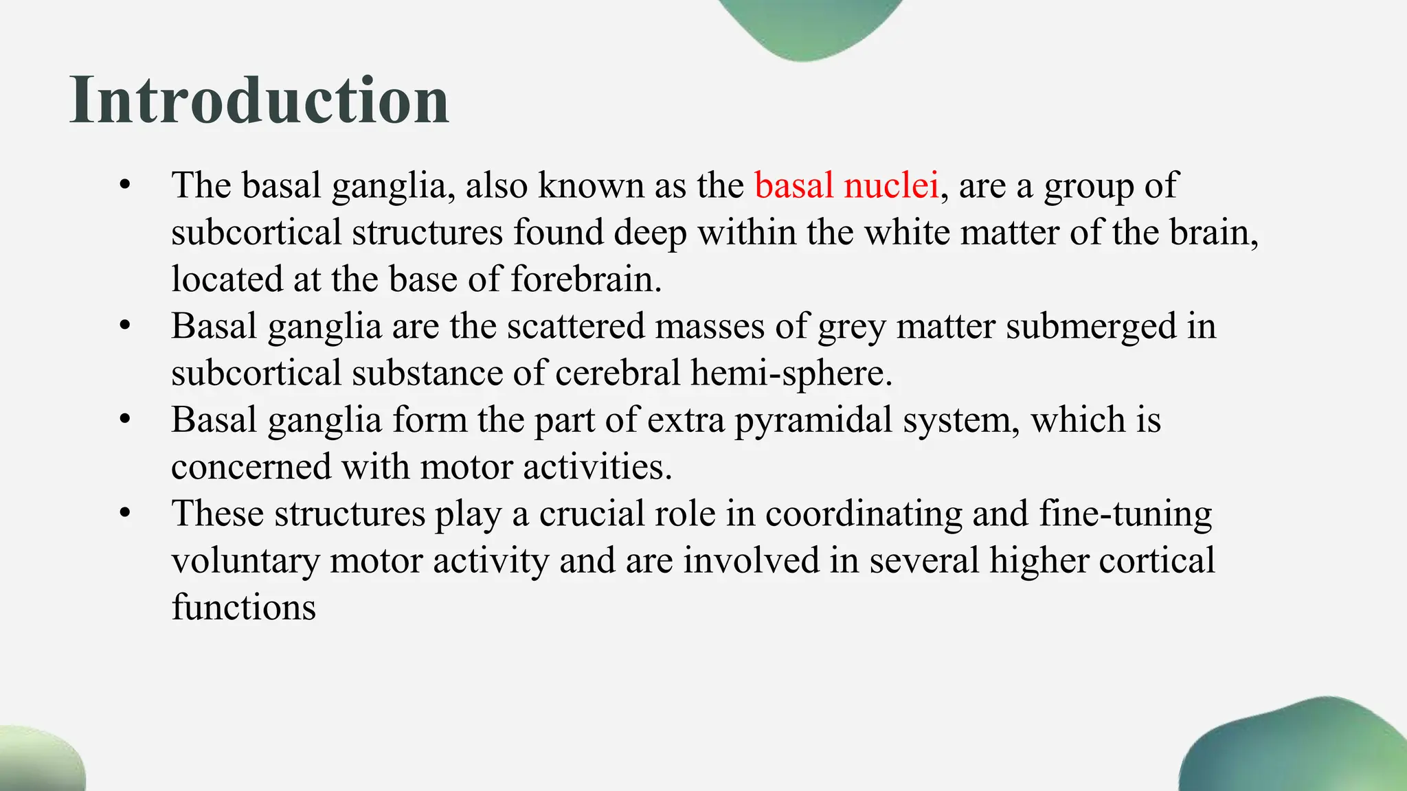 Basal ganglia , Introduction, Anatomy - Components connections pathway ...