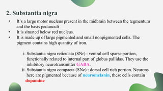 Basal ganglia , Introduction, Anatomy - Components connections pathway ...