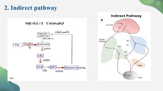 Basal ganglia , Introduction, Anatomy - Components connections pathway ...