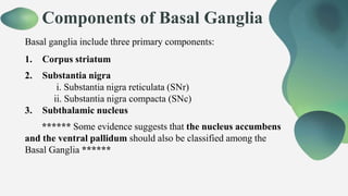 Basal ganglia , Introduction, Anatomy - Components connections pathway ...