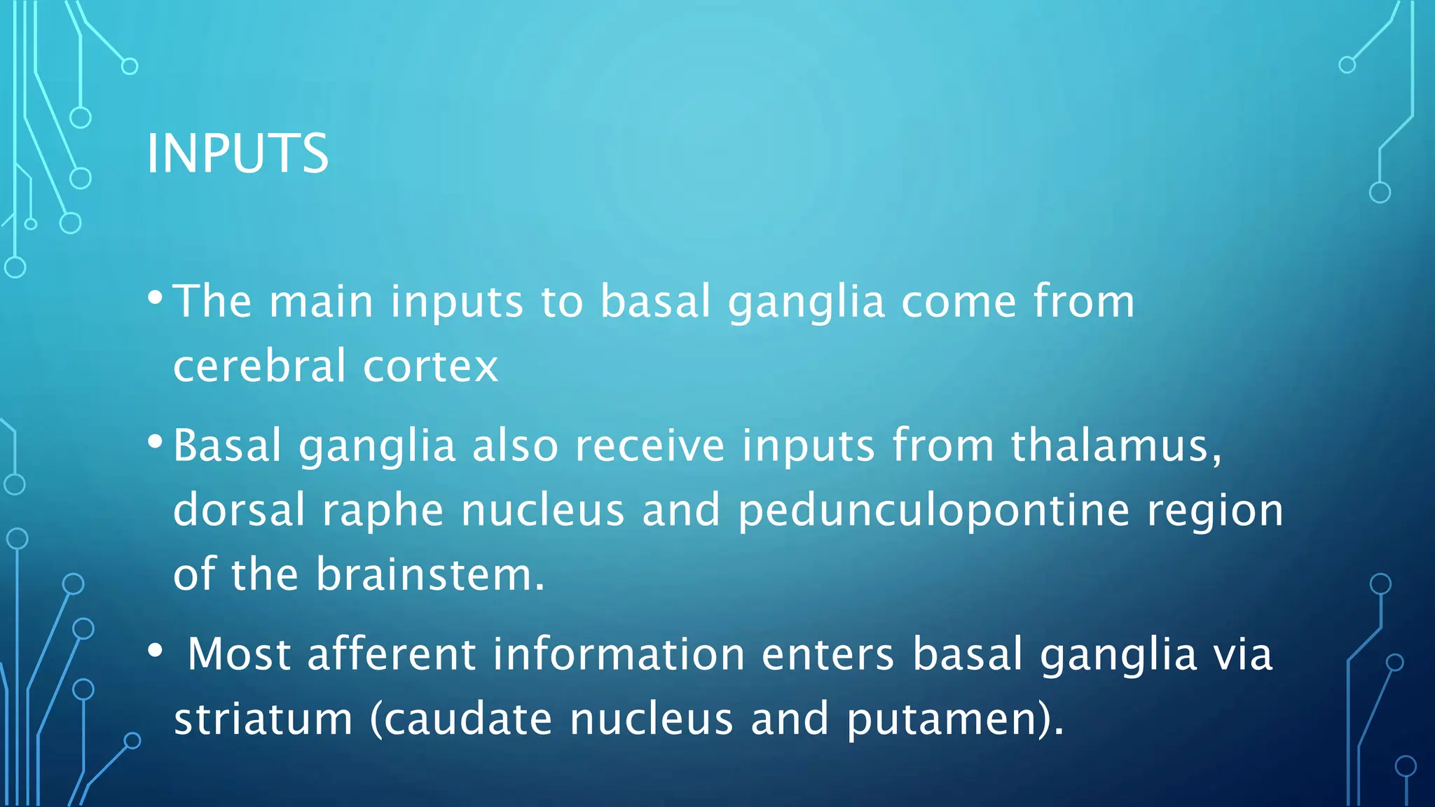 Introduction of Basal ganglia for the Students of Medical fraternity.pptx