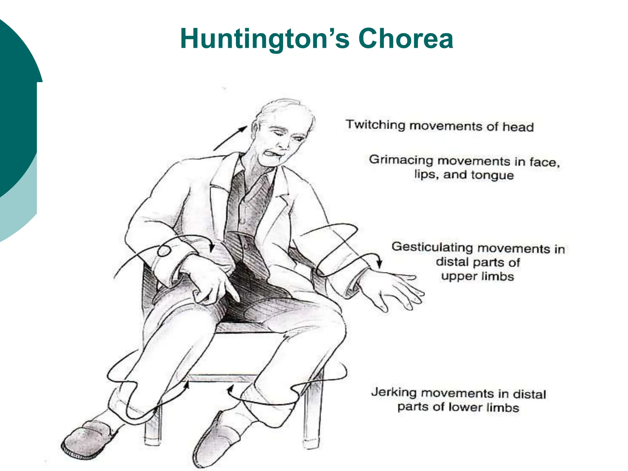 Basal ganglia powerpoint presentation free | PPT