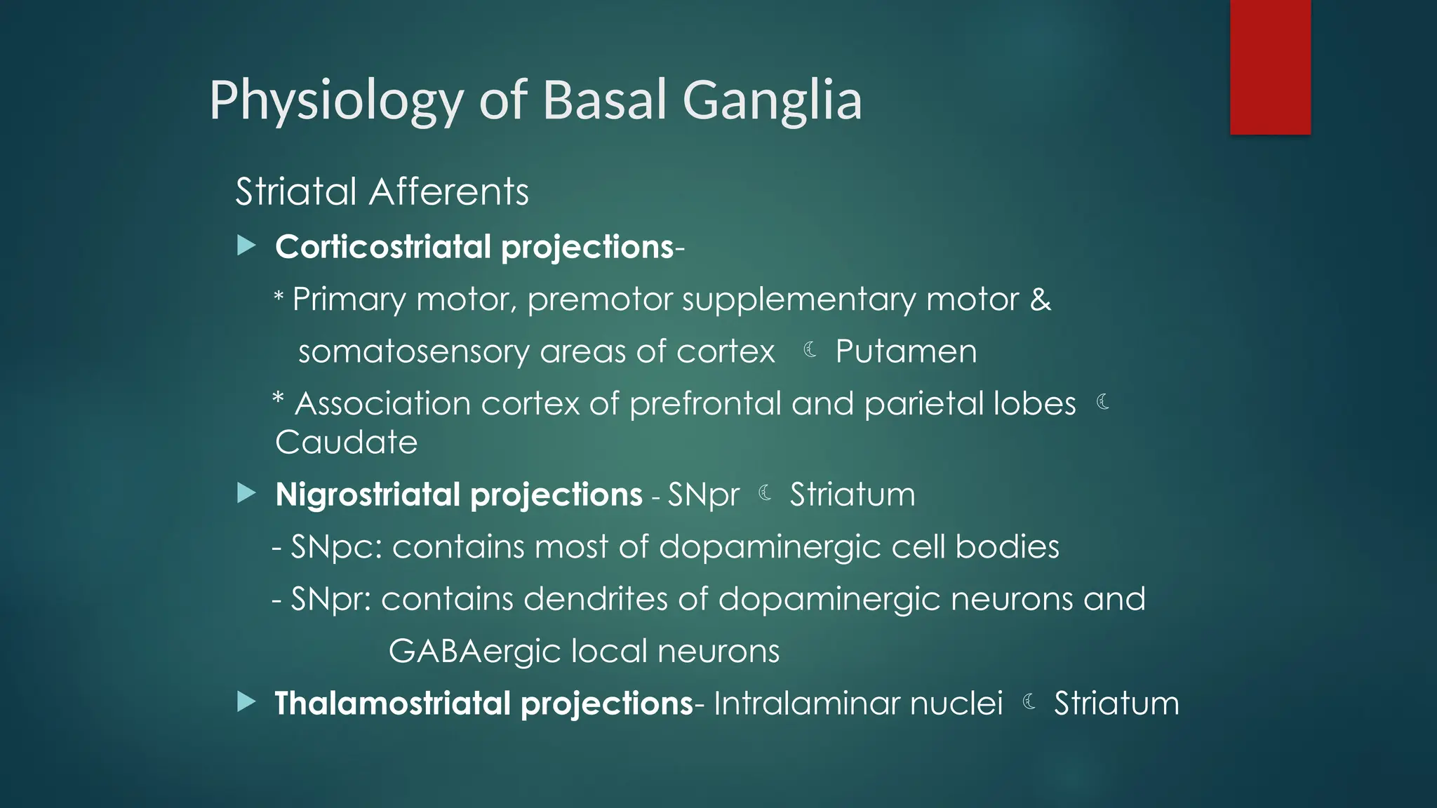 Basal Ganglia neurology usg critical .pptx