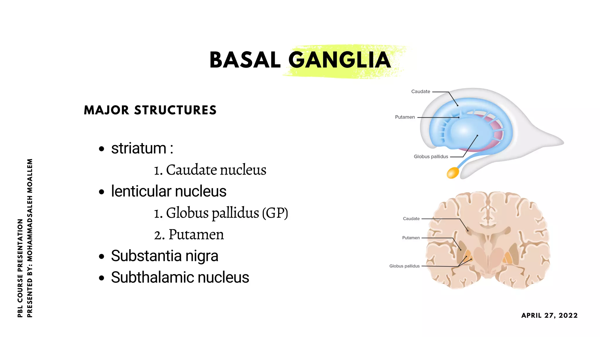 Basal ganglia and Parkinson's disease | PDF