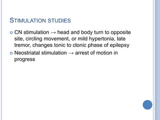 Basal Ganglia Clinical Anatomy Physiology | PPTX