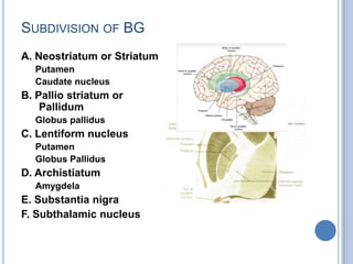Basal Ganglia Clinical Anatomy Physiology | PPTX