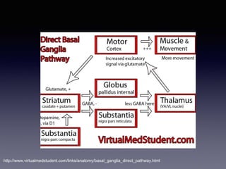 Basal ganglia 2018 | PPTX