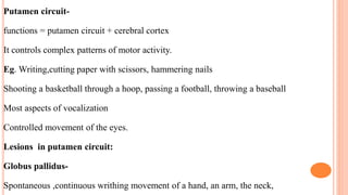 Basal ganglia | PPTX