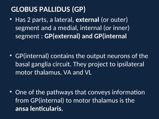Basal Ganglia Anatomy by Dr Aiyegbusi.ppt