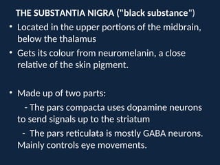 Basal Ganglia Anatomy by Dr Aiyegbusi.ppt