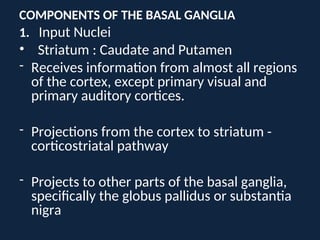 Basal Ganglia Anatomy by Dr Aiyegbusi.ppt