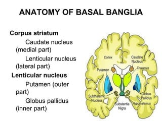 BASAL GANGLIA | PPT