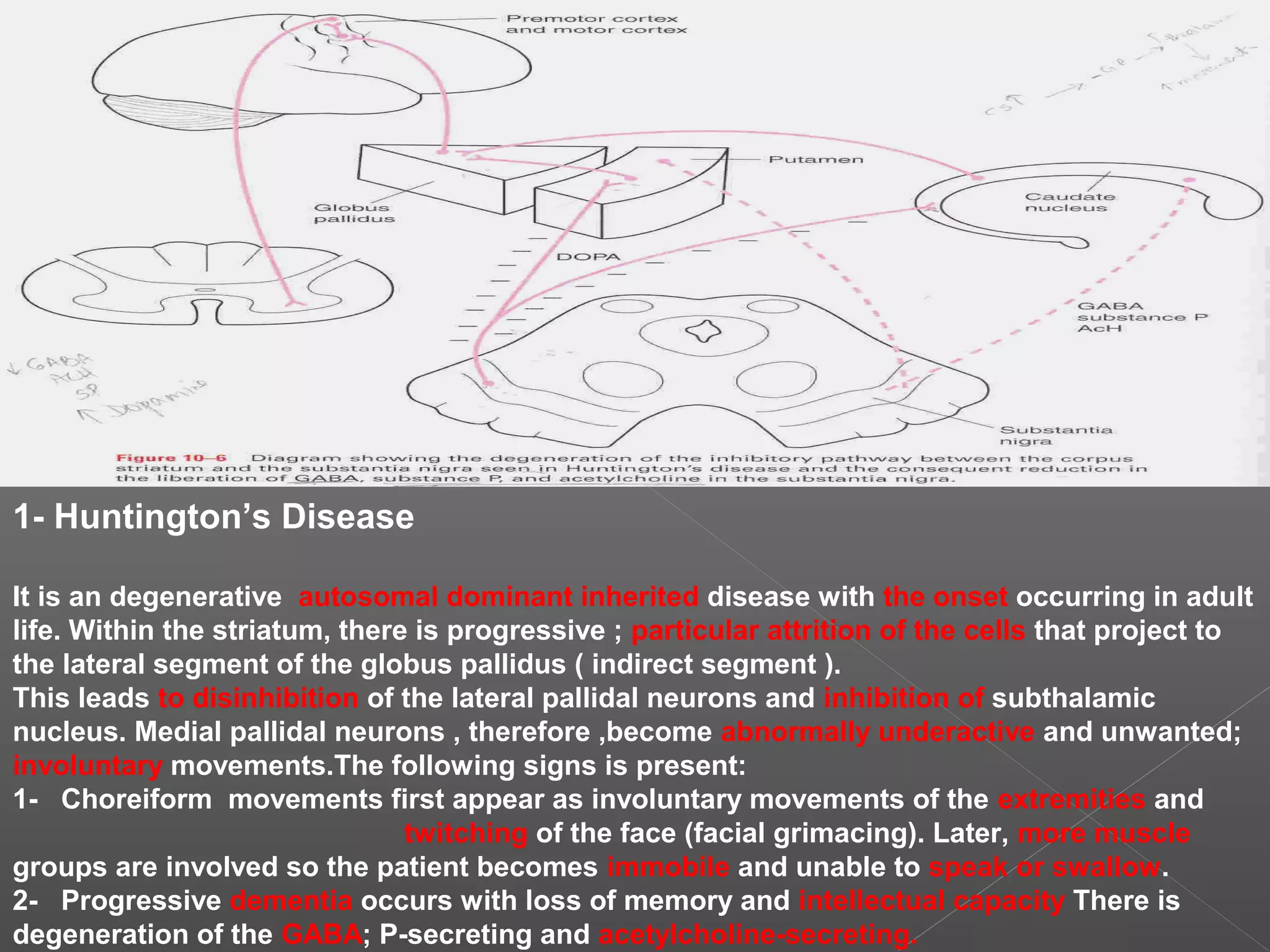 Basal ganglia and clinical anatomy, by Dr. Gagan Gupta(PT) | PPT