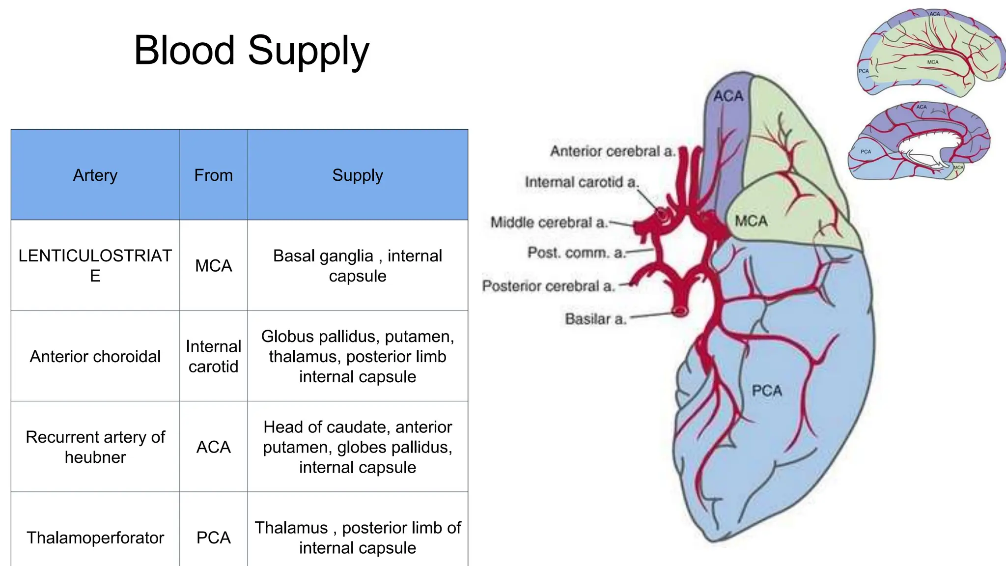 basal ganglia and its circuits connection.pptx