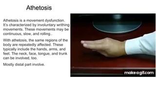 basal ganglia and its circuits connection.pptx