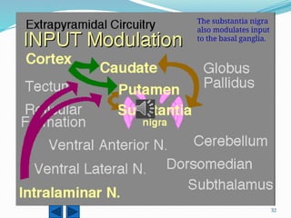 Basal ganglia and white matter.pptx11111 | PPTX