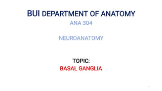 BASAL GANGLIA BUI 2024.pdf.............. | PDF