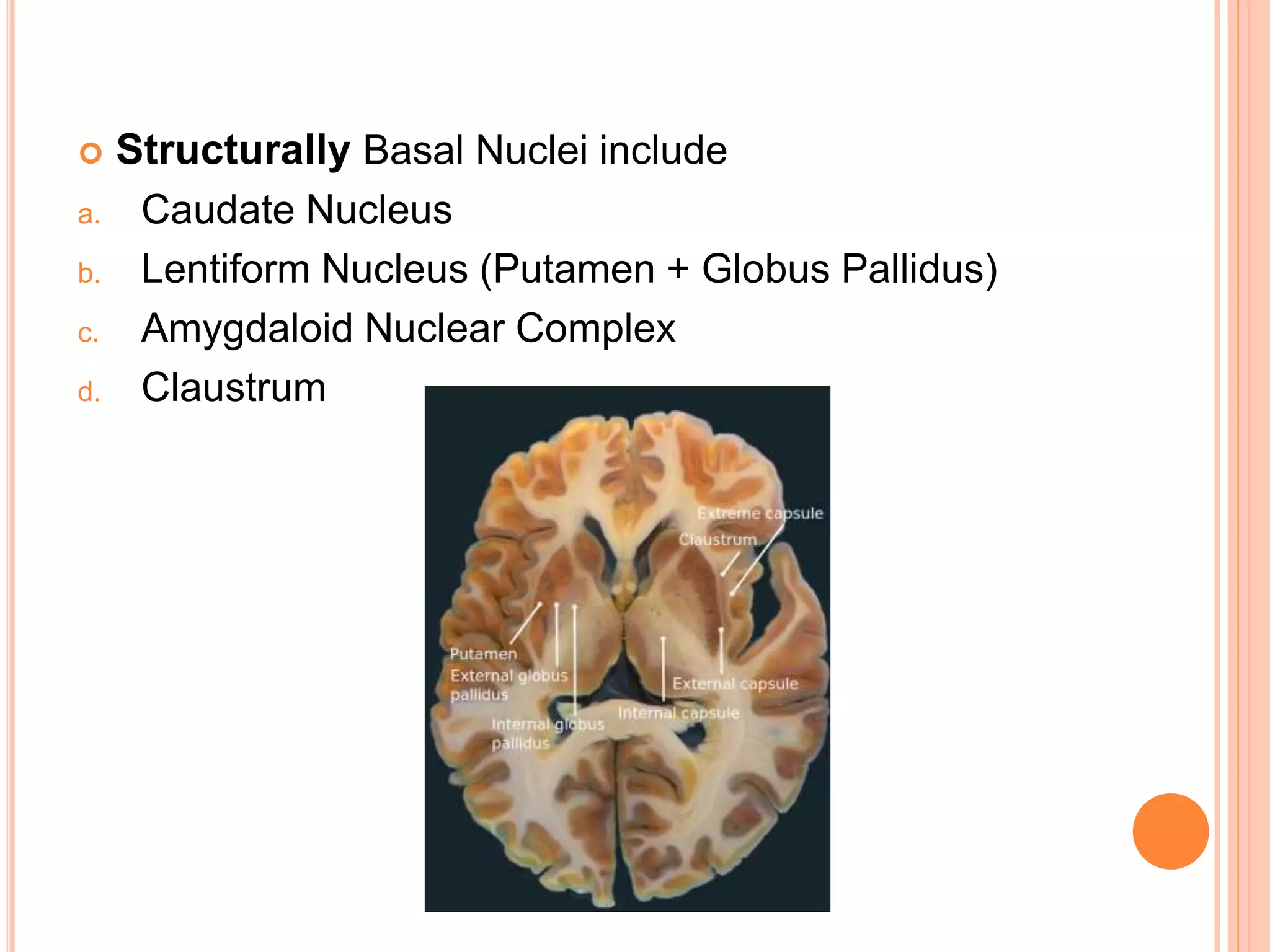 Basal Ganglia by Dr.Anudeep.pptx