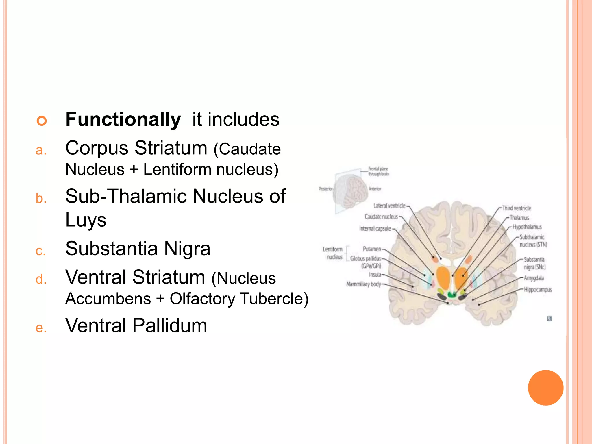 Basal Ganglia by Dr.Anudeep.pptx
