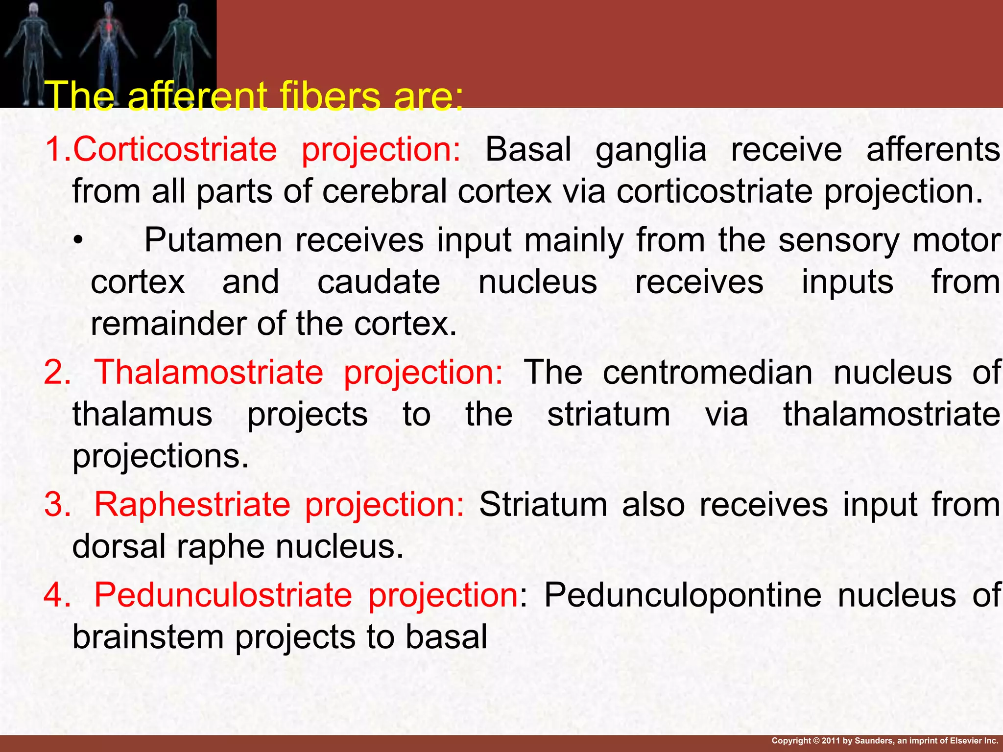 basal ganglia cls.ppt | Brain and Nervous System Disorders | Diseases ...