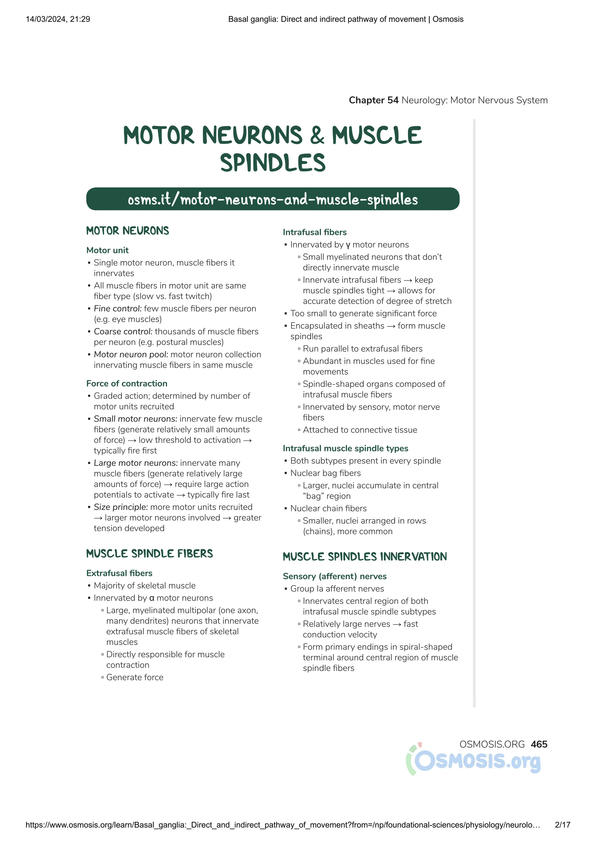 Basal ganglia_ Direct and indirect pathway of movement _ Osmosis.pdf
