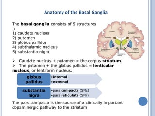 Basalganglia | PPTX