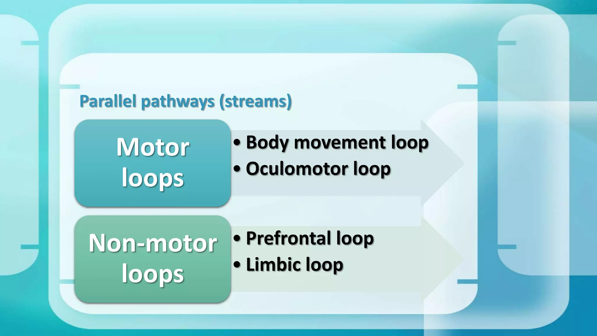 Basal ganglia movement modulation | PPSX