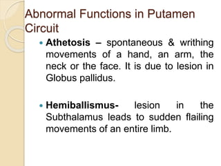 Basal ganglia | PPTX