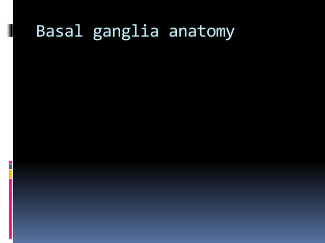 Basal ganglia by Dr.RAJESH PULIPAKA. | PPT