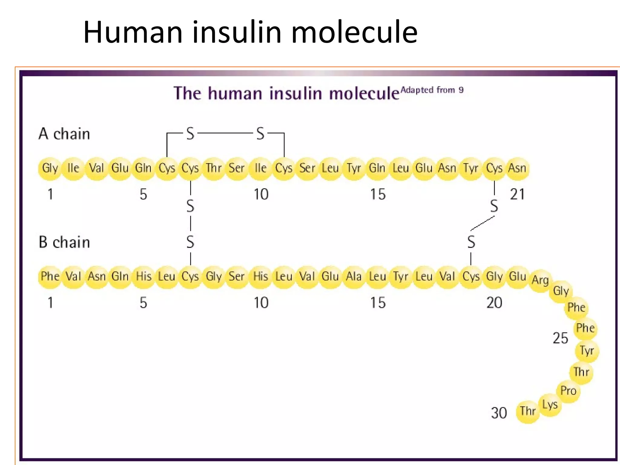 Basal insulin in T2DM | PPT