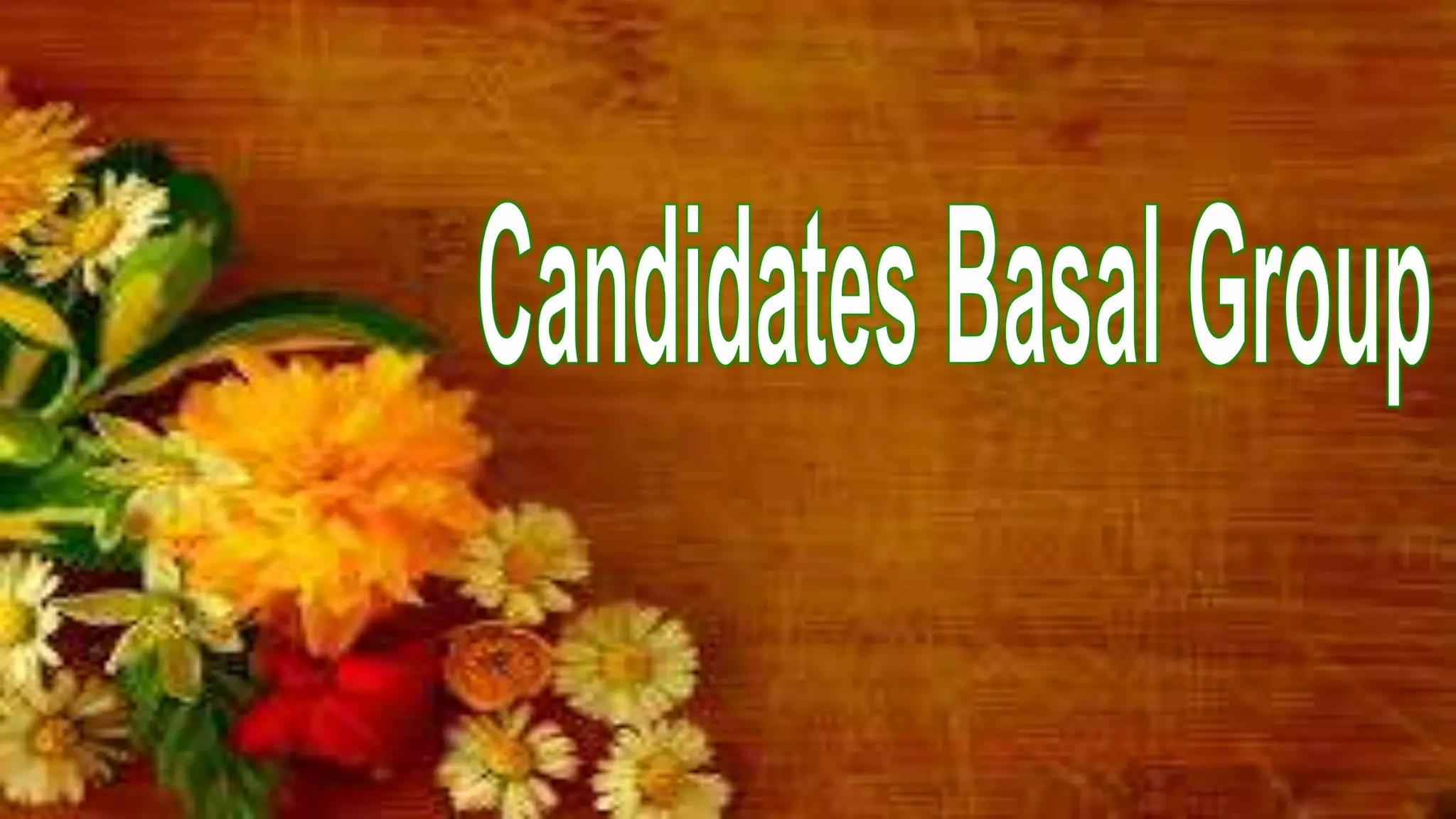 Basal living angiosperms one of the topics in Plant Systemativ | PPTX