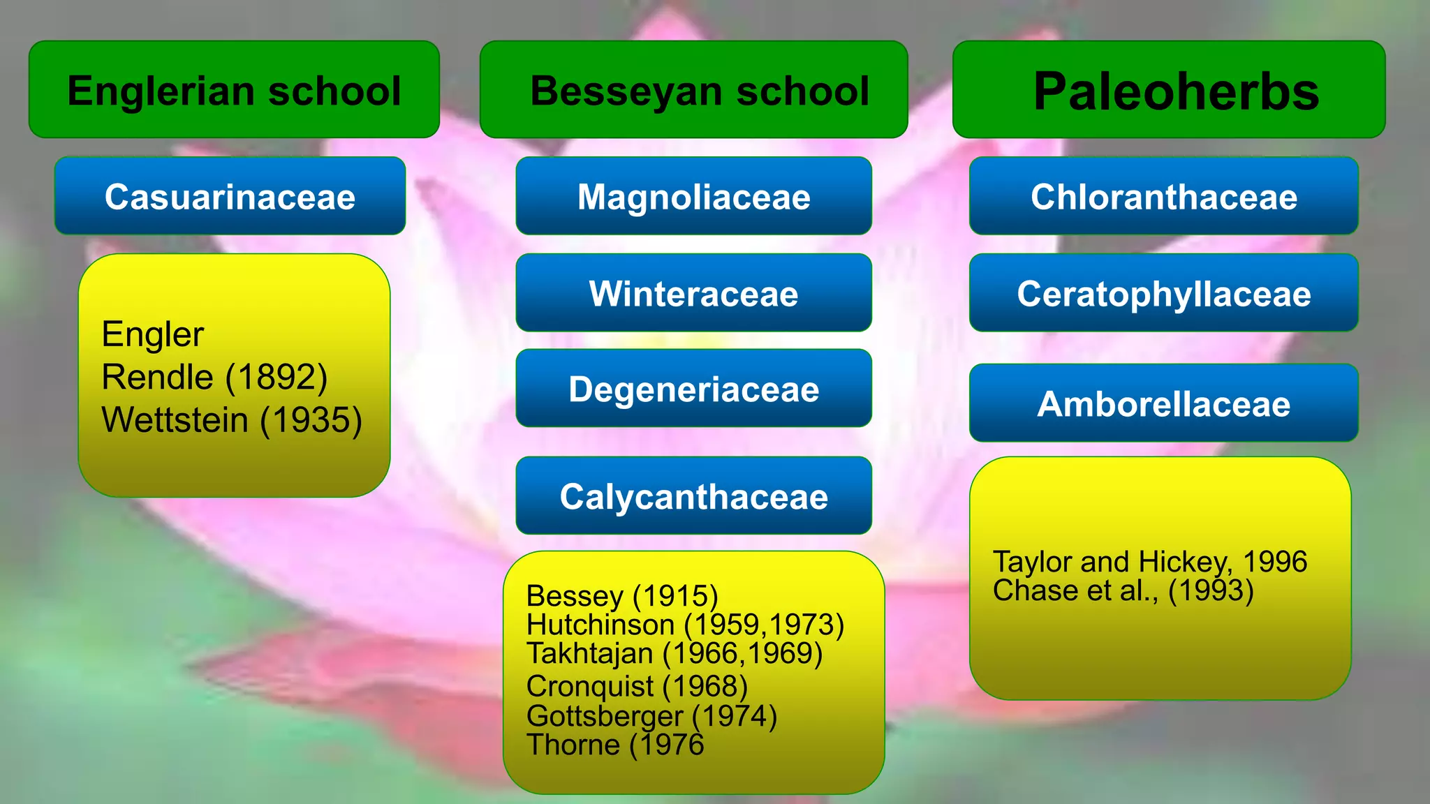 Basal living angiosperms one of the topics in Plant Systemativ | PPTX