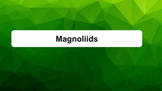 Basal living angiosperms one of the topics in Plant Systemativ | PPTX