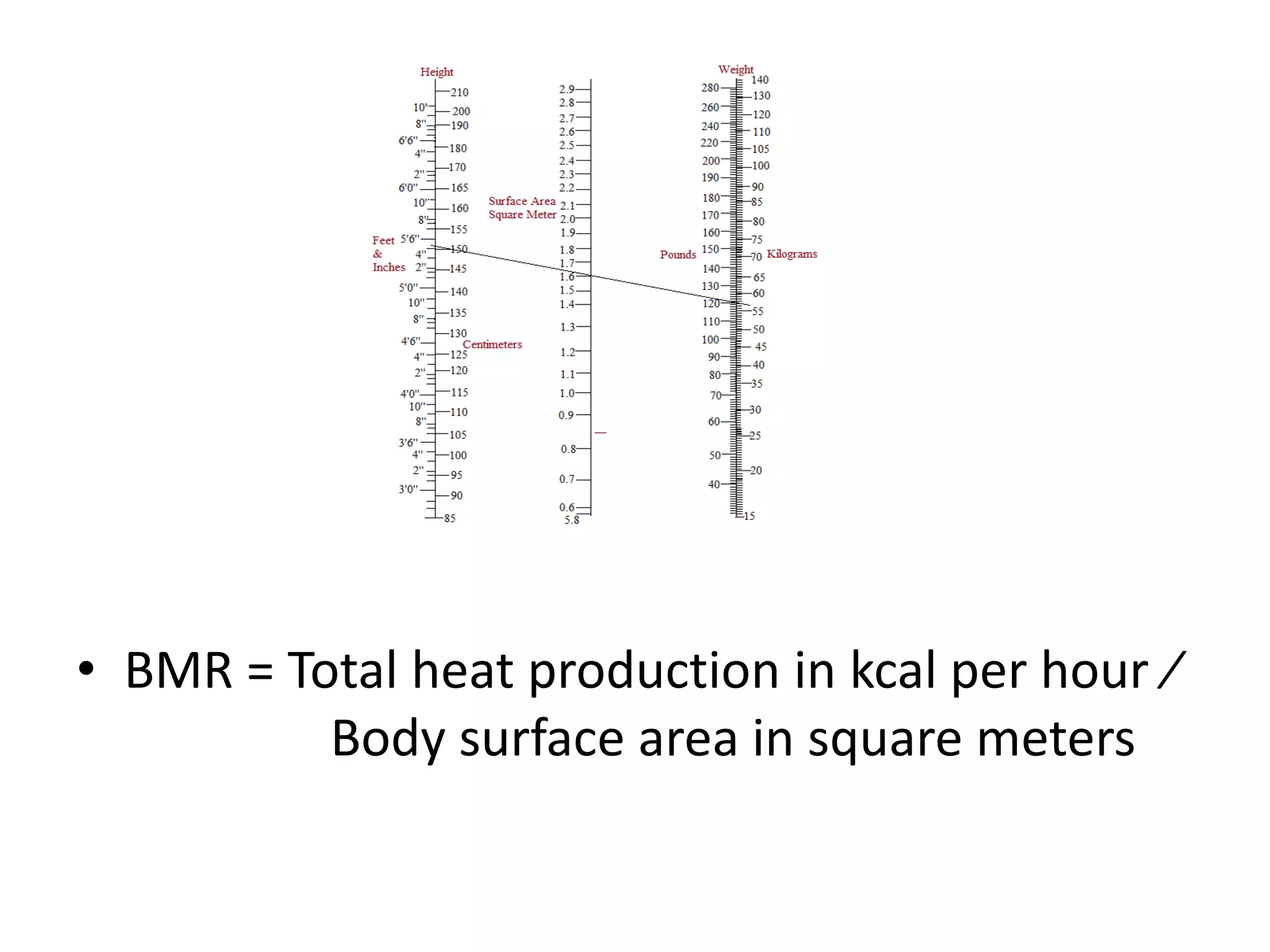 Basal metabolic rate | PPTX