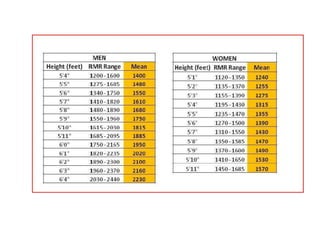 Basal metabolic rate | PPTX