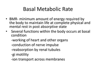 Basal metabolic rate | PPTX
