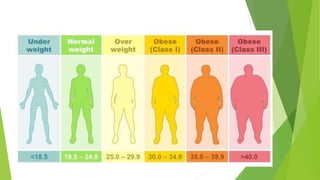Basal metabolic rate (bmr) and basal metabolic index (bmi) (mushtaq ...