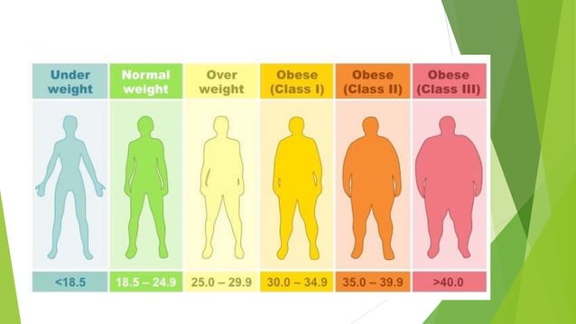 Basal metabolic rate (bmr) and basal metabolic index (bmi) (mushtaq ...
