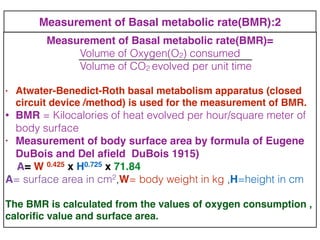 Basal metabolic rate(bmr)and nutrition | PDF