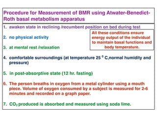 Basal metabolic rate(bmr)and nutrition | PDF