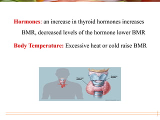 Basal Metabollic Rate(BMR) .pptx | Endocrine and Metabolic Diseases ...