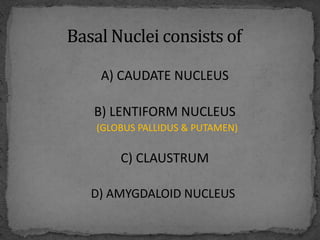 Basal nuclei & their connections | PPTX