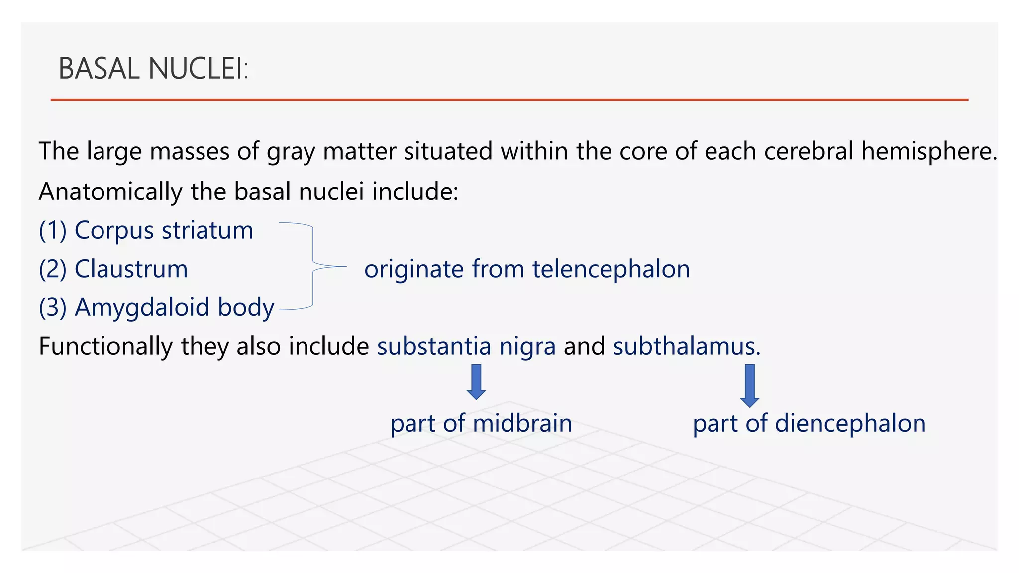 Basal nuclei | PDF