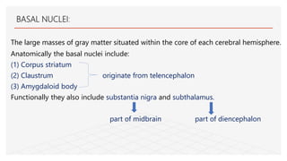 Basal nuclei | PDF